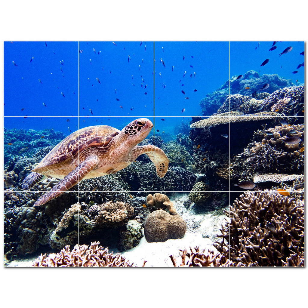 Turtle Ceramic Tile Wall Mural Kitchen Backsplash Bathroom Shower P501 ...